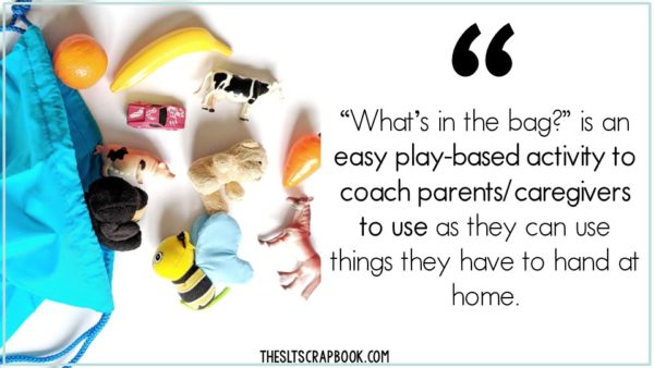'What's in the Bag?'- A Fun Activity for Language Development - The SLT ...